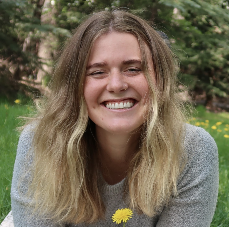 REAL ML: Recognizing, Exploring, and Articulating Limitations of ...