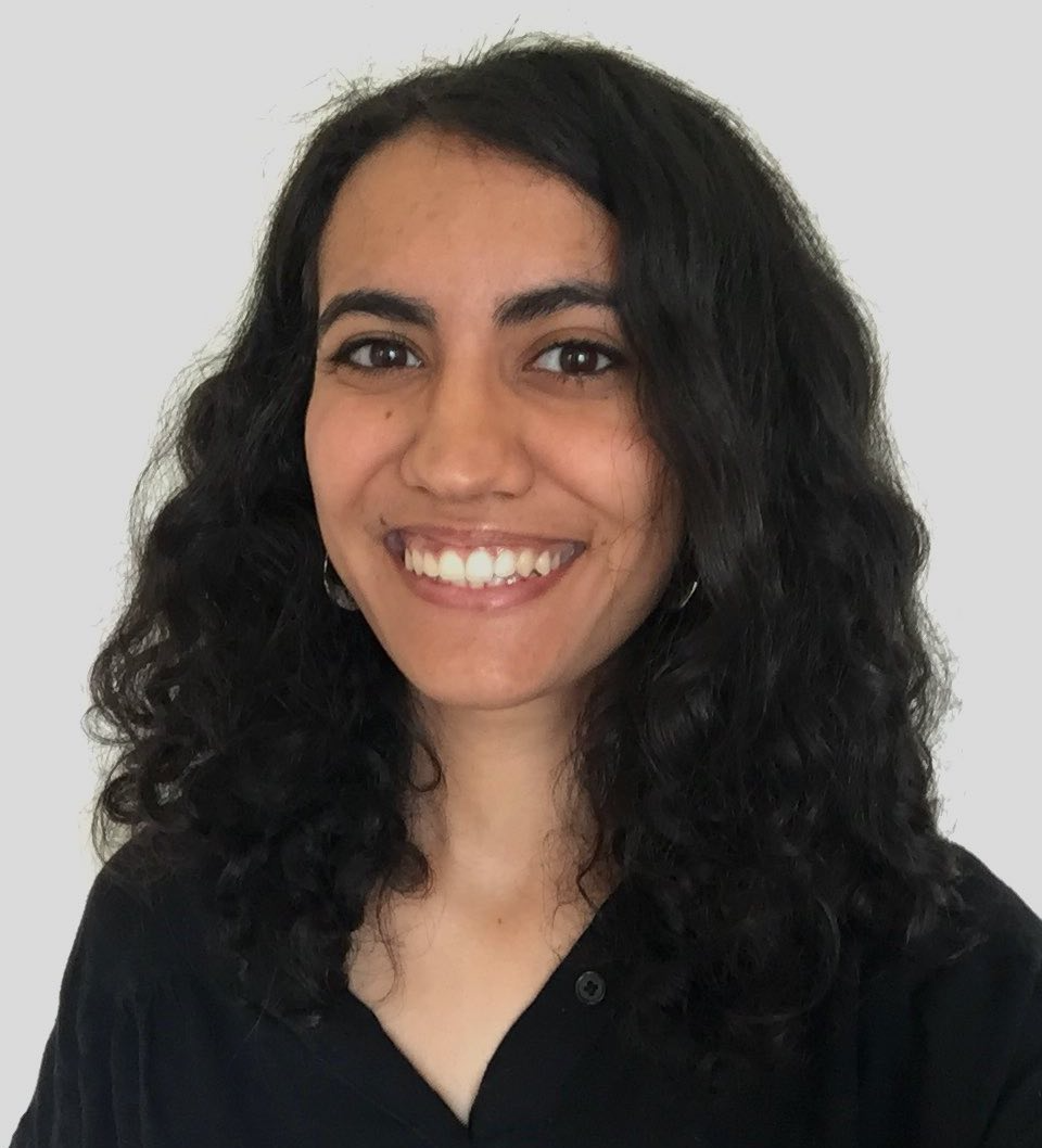 An Empirical Analysis of Racial Categories in the Algorithmic Fairness ...